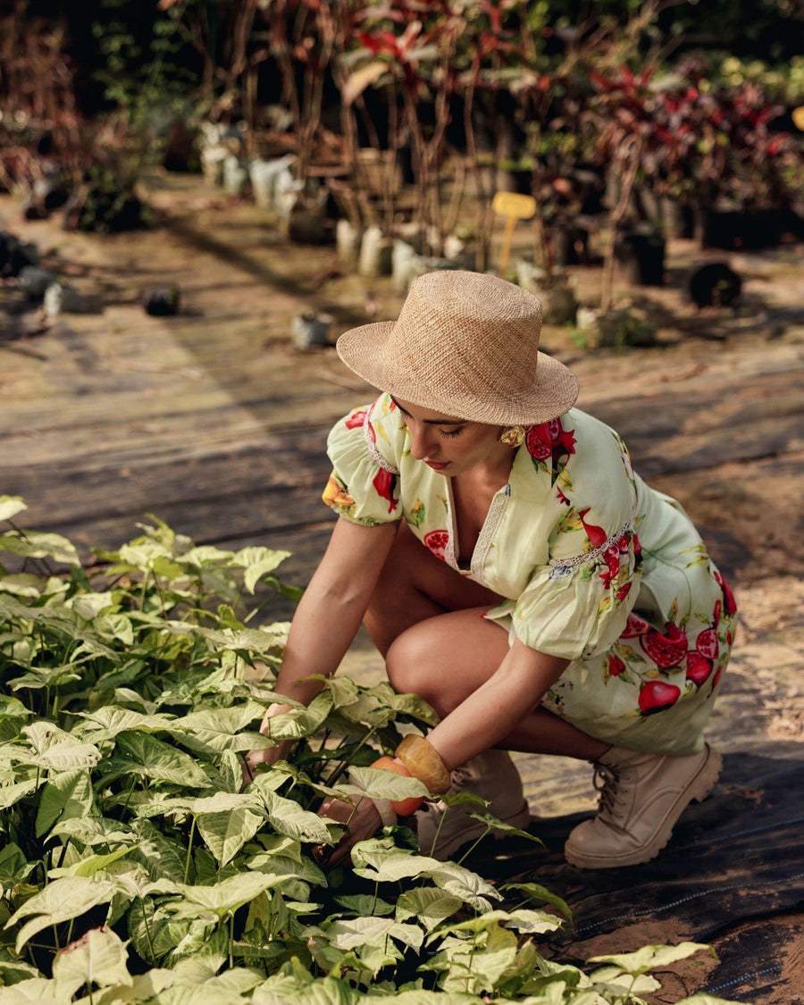 House of Dawn – House on Dawn